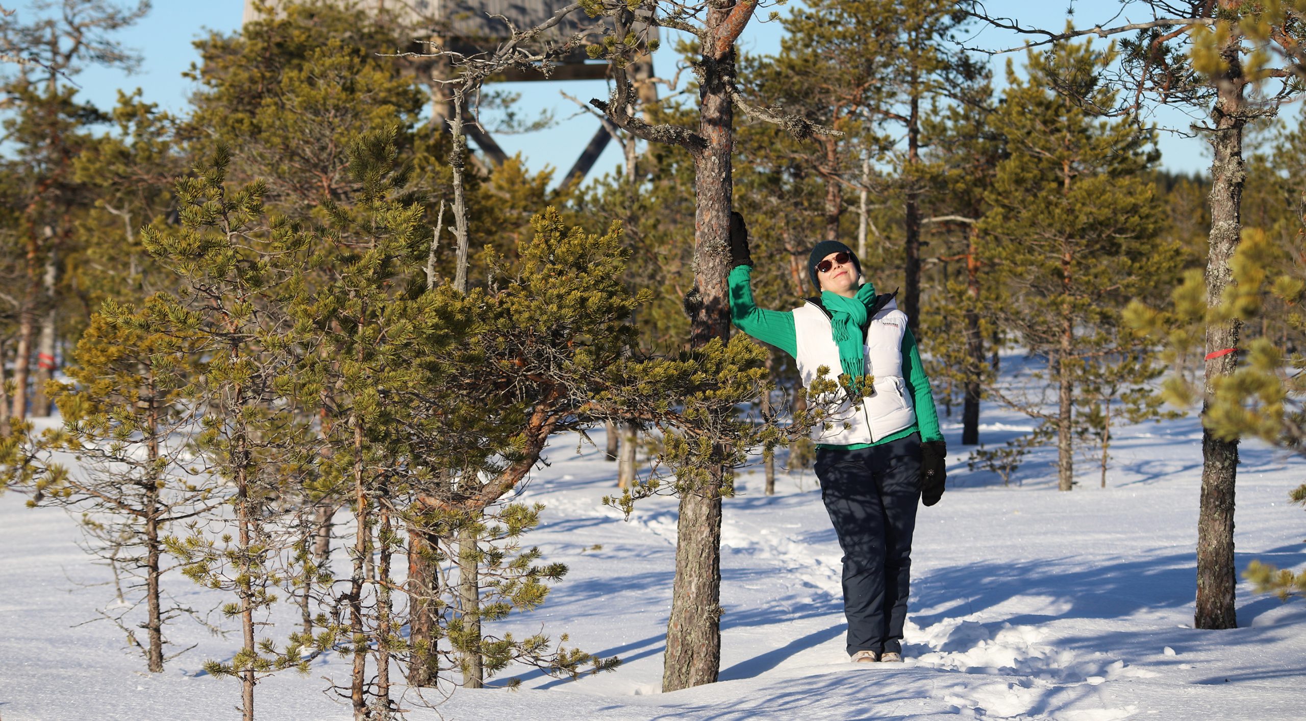 Visit Joutsa – Joutsan kunnan matkailusivu